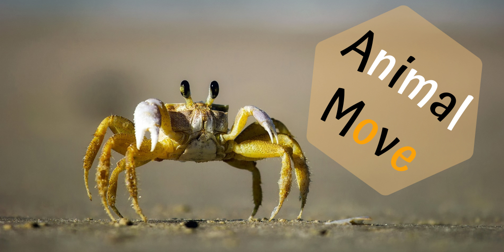 «Animal Move»: ponte en forma como las bestias - El Blog de Fitshop