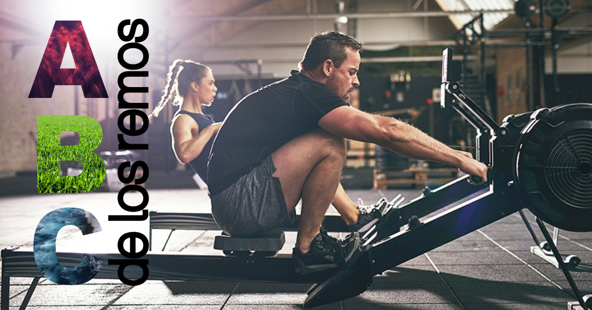 Nociones básicas sobre máquinas de remo - El Blog de Fitshop