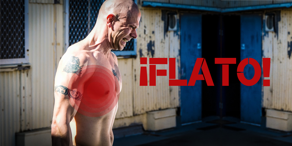 Flato: ¿qué debes hacer cuando aparece? - El Blog de Fitshop