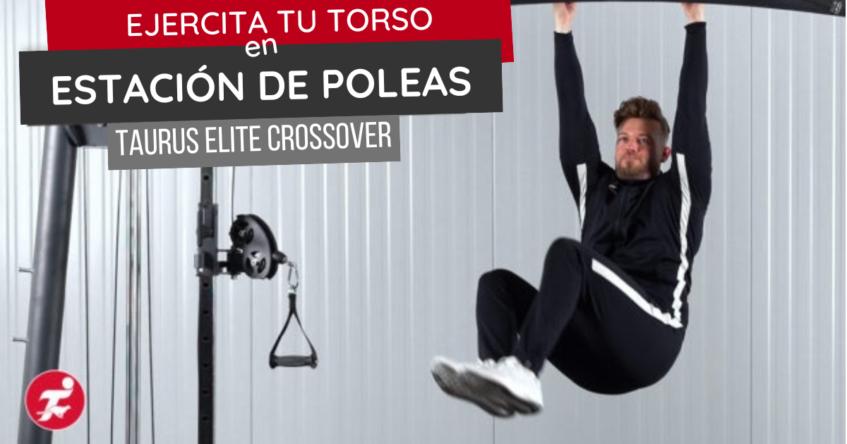 Los 5 Mejores Ejercicios Para Un Pecho Firme El Blog De Fitshop